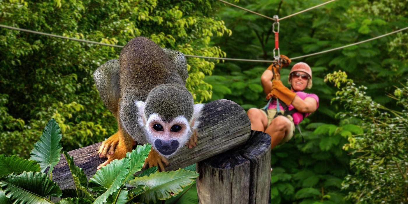 Monkey Land + Zip Line Puerto Plata - Caribbean Travel